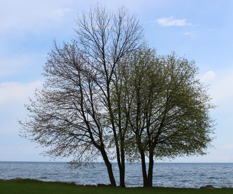 Port Credit-Waterfront Trail - Contented Traveller