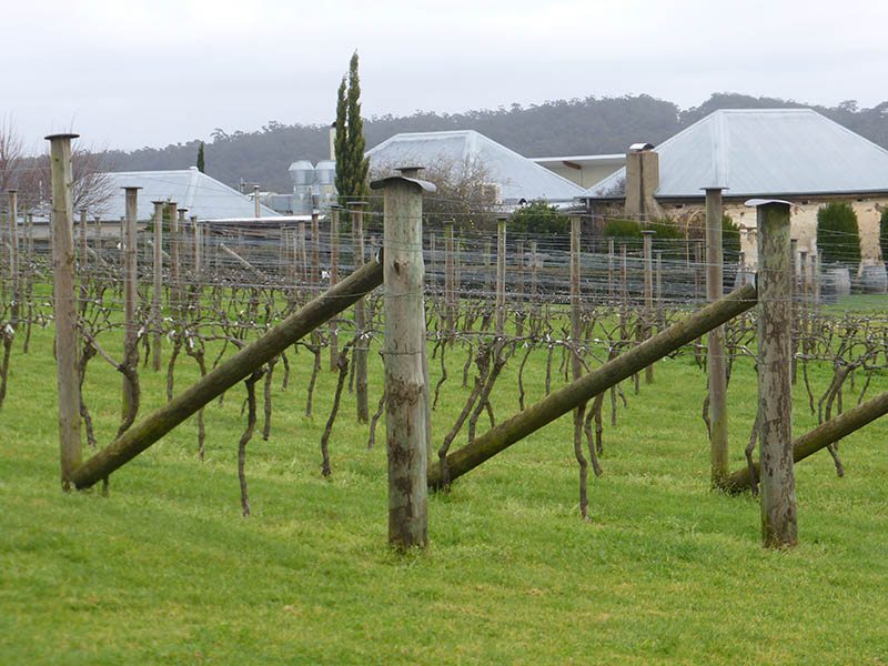 A Family Affair at Cupitt’s Winery and Restaurant